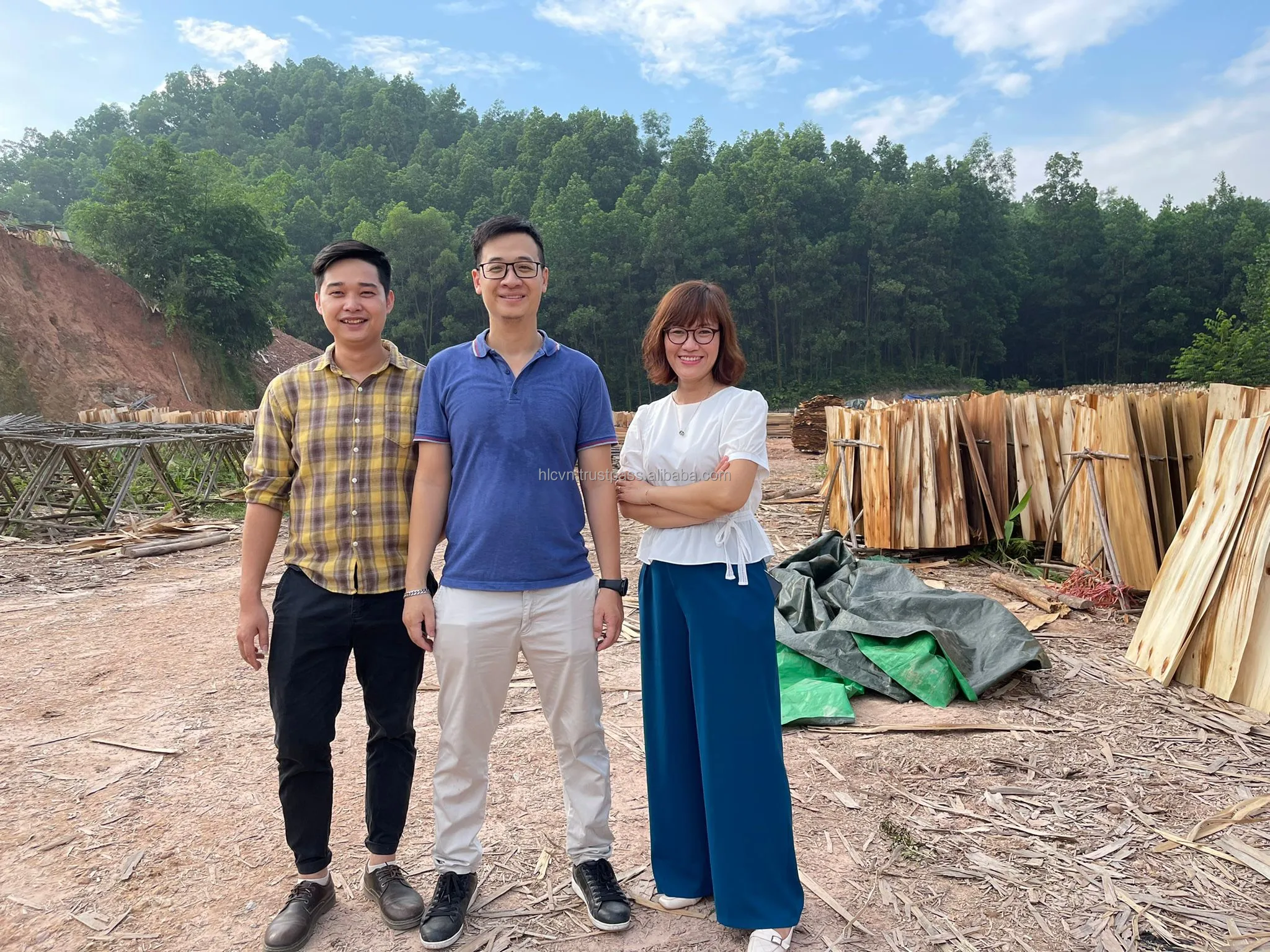 STYRAX FACE/ MIXED HARDWOOD PLYWOOOD 1220X2440X15MM PLY WOOD SHEET ...