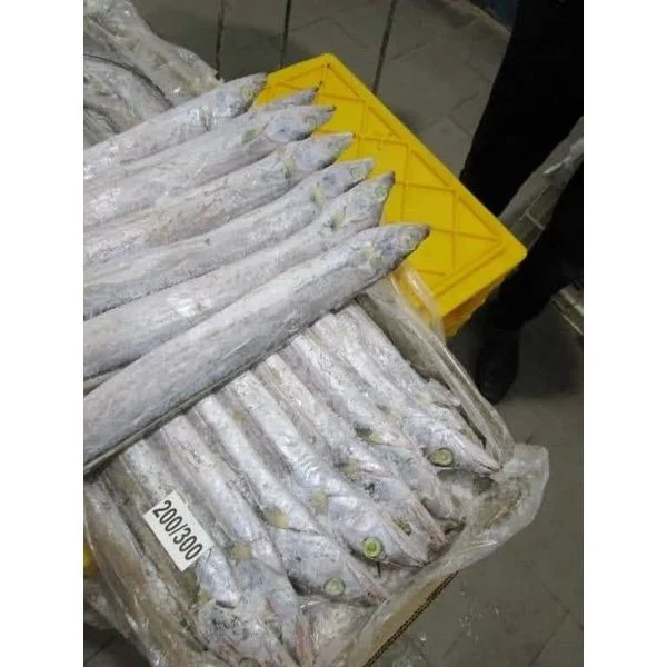 Ribbon Fish Available In Bulk With No Wild Eye - Buy Seafood,Ribbon ...