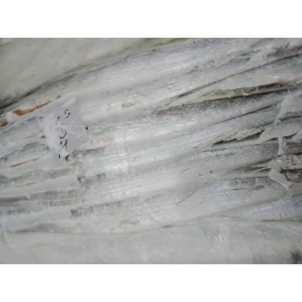 Top Quality Frozen Ribbon Fish Available - Buy Frozen Whole Fish ...