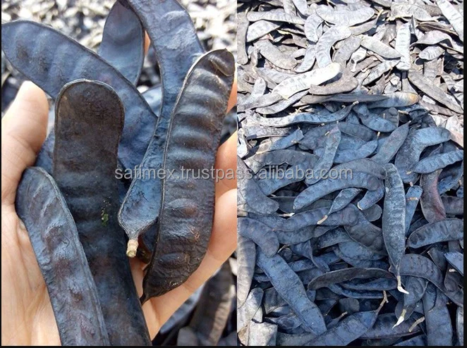 Vietnamese Wild Honey Locust Soapberry Bo Ket Fruit Seed Plant Extract ...