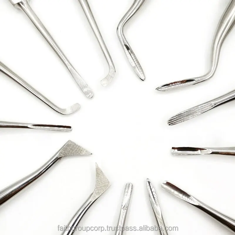 High Quality Stainless Steel Dental Elevator 8 Pcs Set Oral Tooth ...