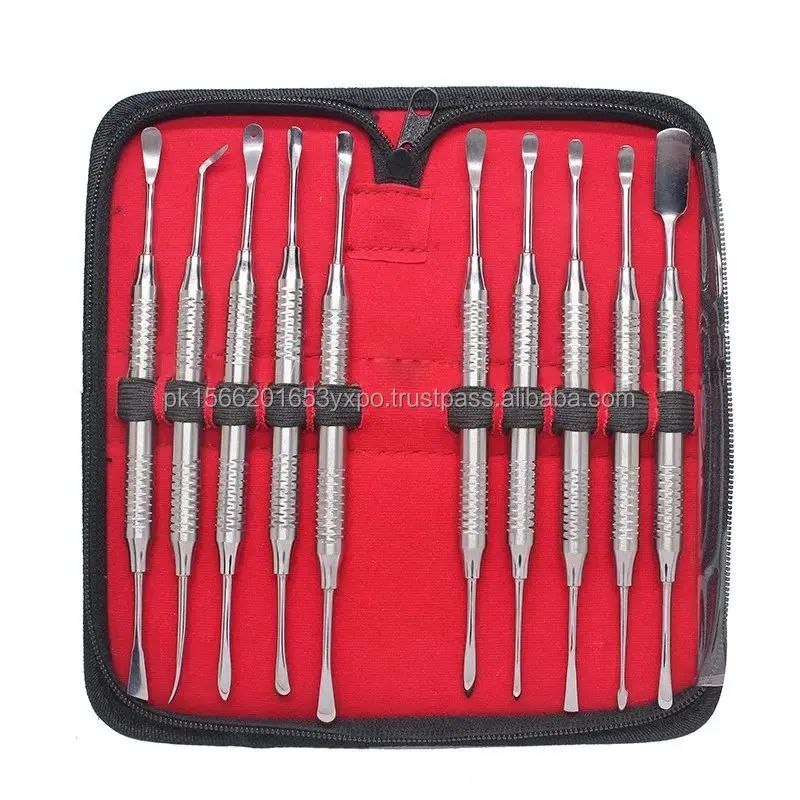 Dental Surgical Instruments Set Periosteal Elevator Reflecting Splitter ...
