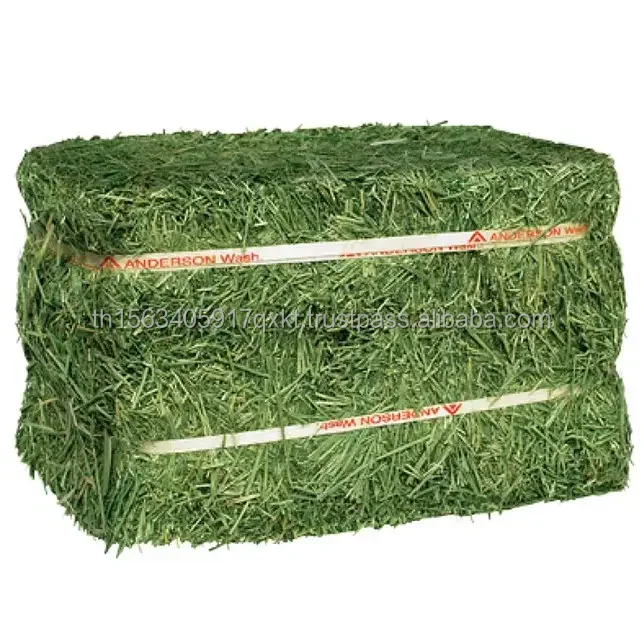 Bales (alfalfa Hay),Timothy Hay Bales,Oats Hay Bulk Top Grade Alfalfa ...