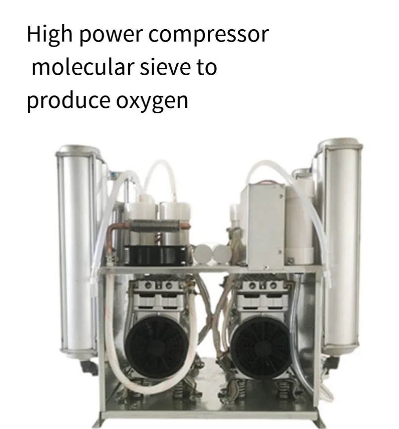 Pet Hyperbaric Oxygen Chamber - Advanced Therapy for Dogs & Cats