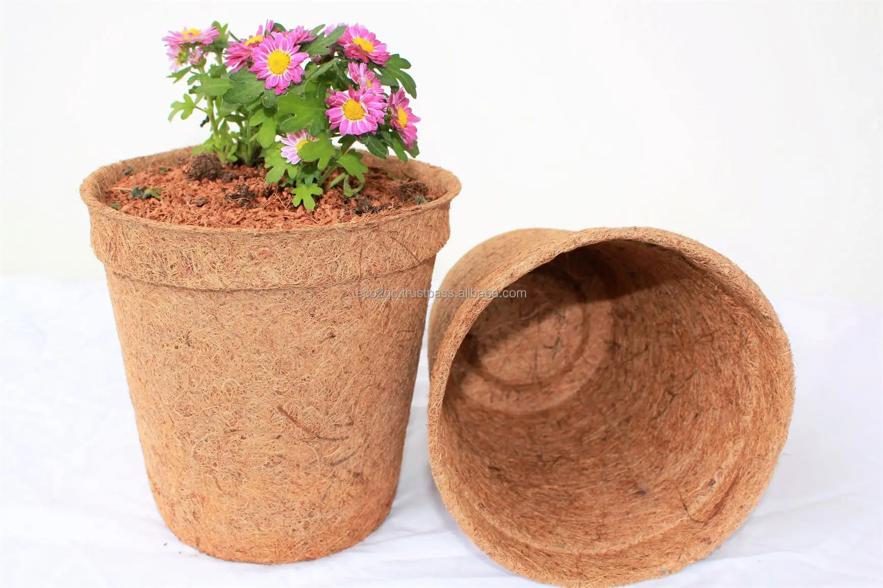 Hot Sale for Eco Friendly Coir Products for Garden-100% Natural Coir ...