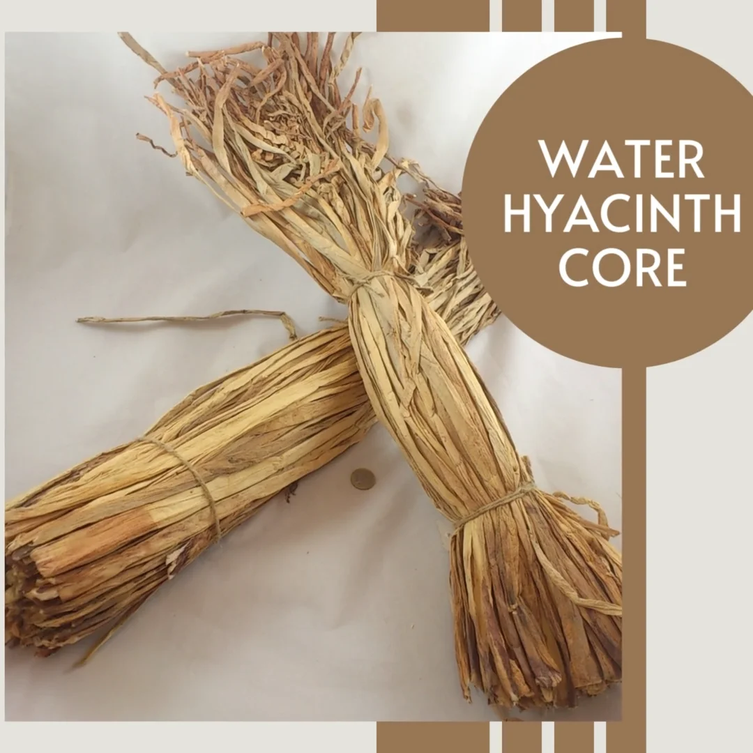 Dried Water Hyacinth For Craft Making From Vietnam Dry Water Hyacinth ...