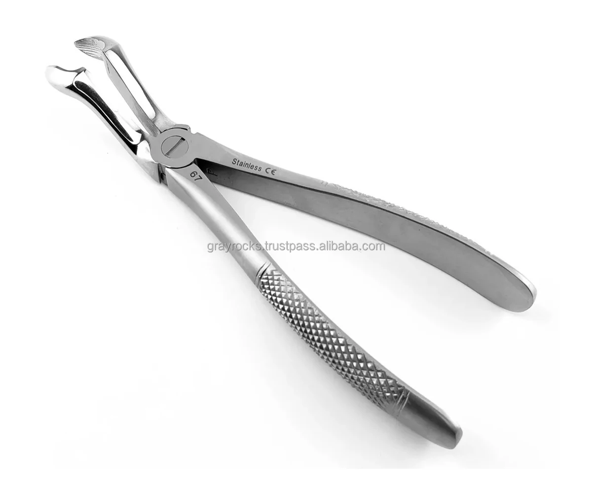 Dental Surgical Instruments Bayonet Forceps for Upper Retained Roots ...