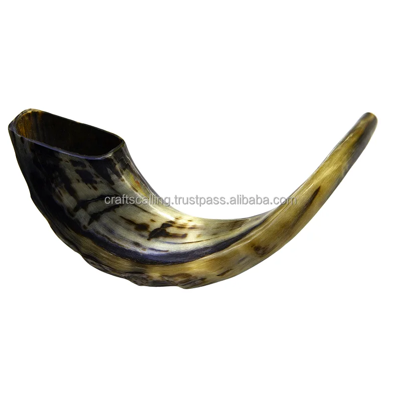 Wholesale Rams Horn Shofar Polished Handmade From India By Crafts ...