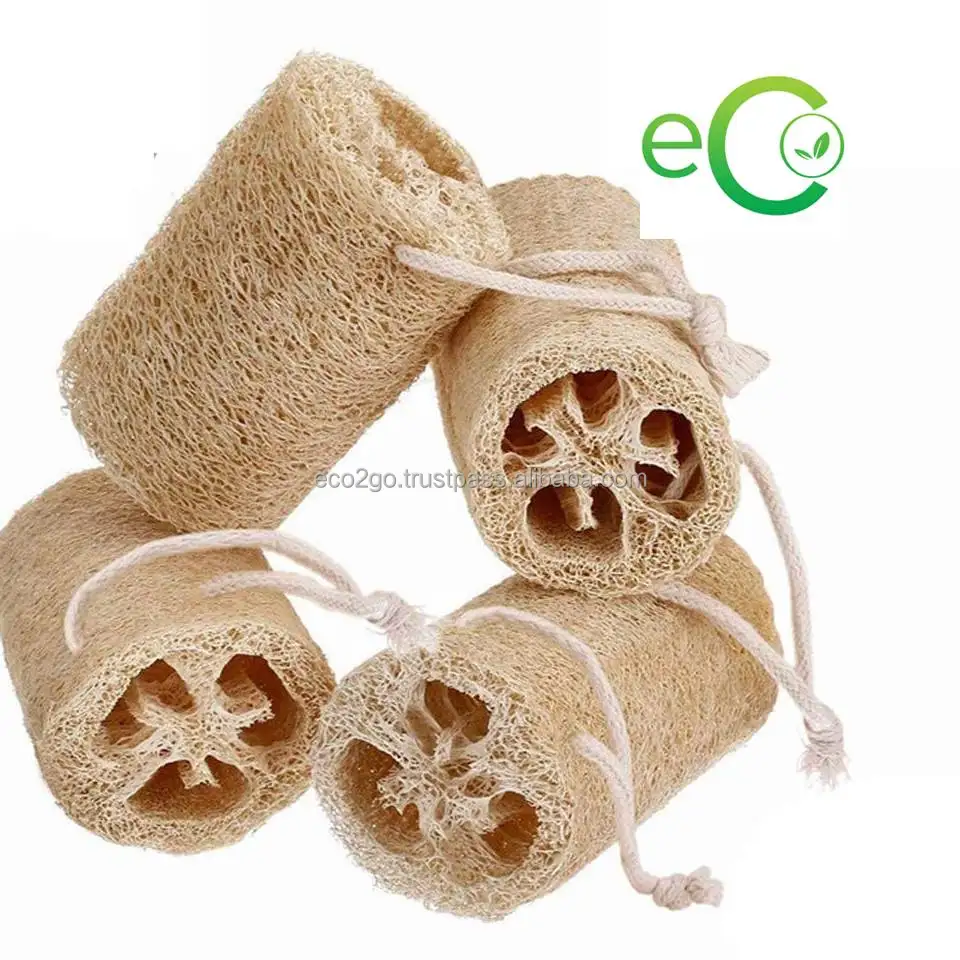 Hot New Sale 2022!!! Organic Natural Loofah Sponge/ Shower Sponge ...