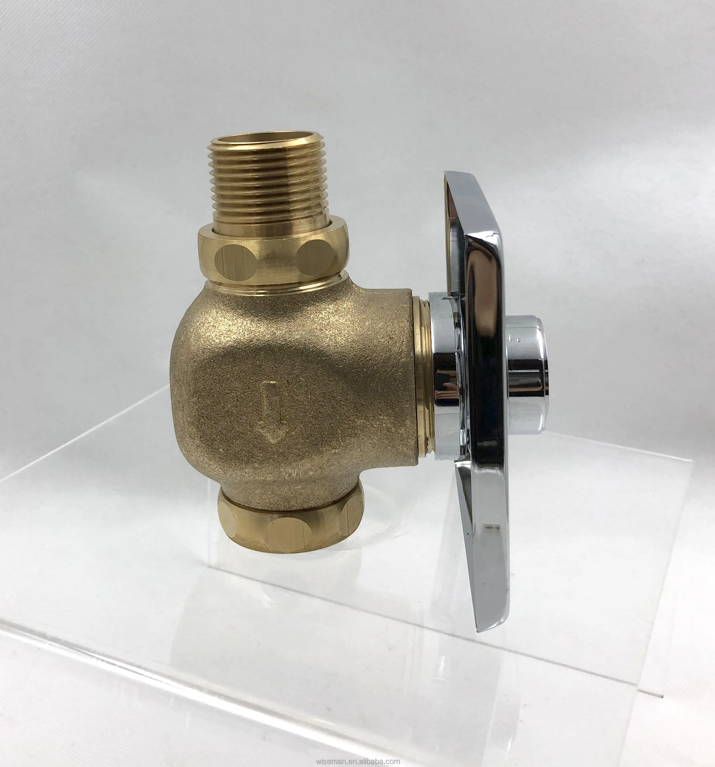 Push Button Concealed Time Delay Flush Valve for Toilet