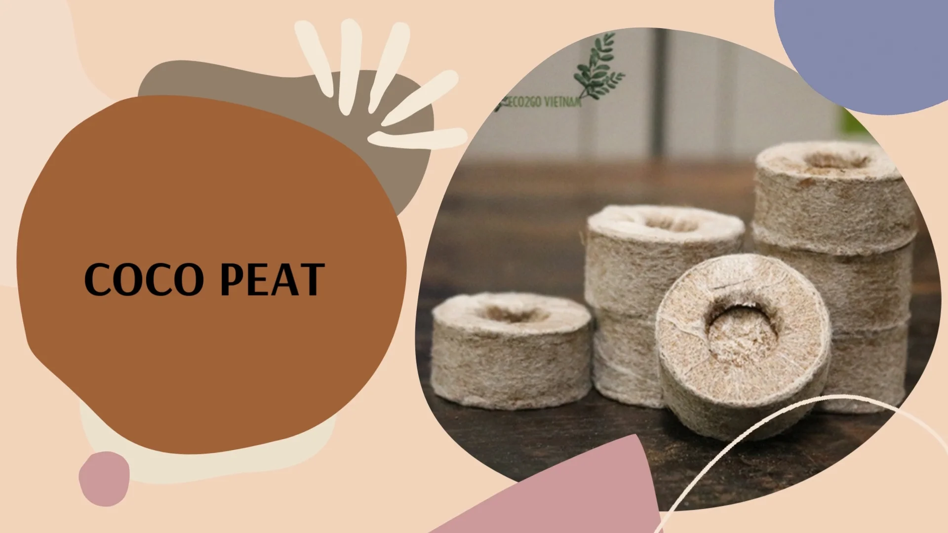 Large Cocopeat In Pellet 44mm / Small Coco Peat Pellet Making Machine ...