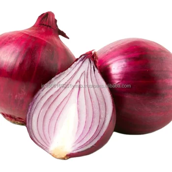 Export Quality Standard Size Red Onions At Best Prices Per Ton India Organic Food Suppliers ...