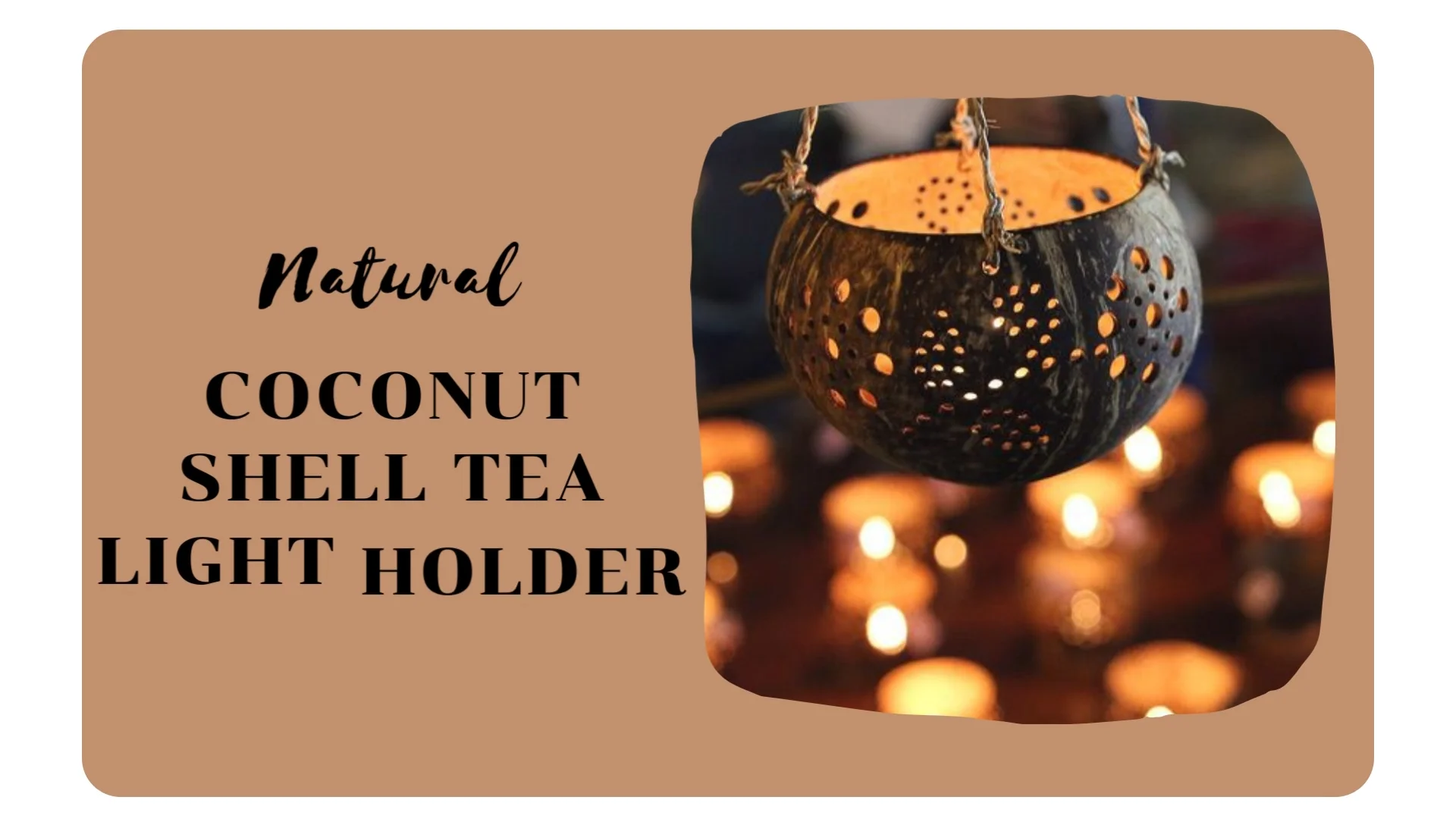 Top Seller 2023 Organic Natural Sustainable Biodegradable Coconut Tea ...