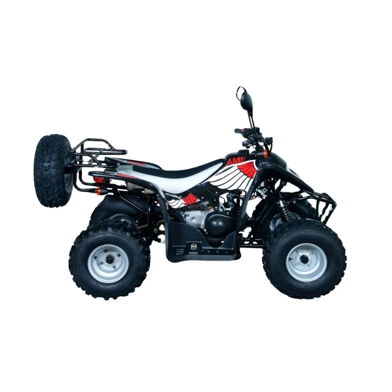 Tao Motor New Design Sport Automatic 125cc 12v 5ah Peace Sports Atv 110 ...