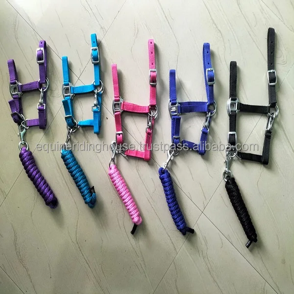 Shop High Quality Equestrian Equipment - Horse Halter & Lead Rope