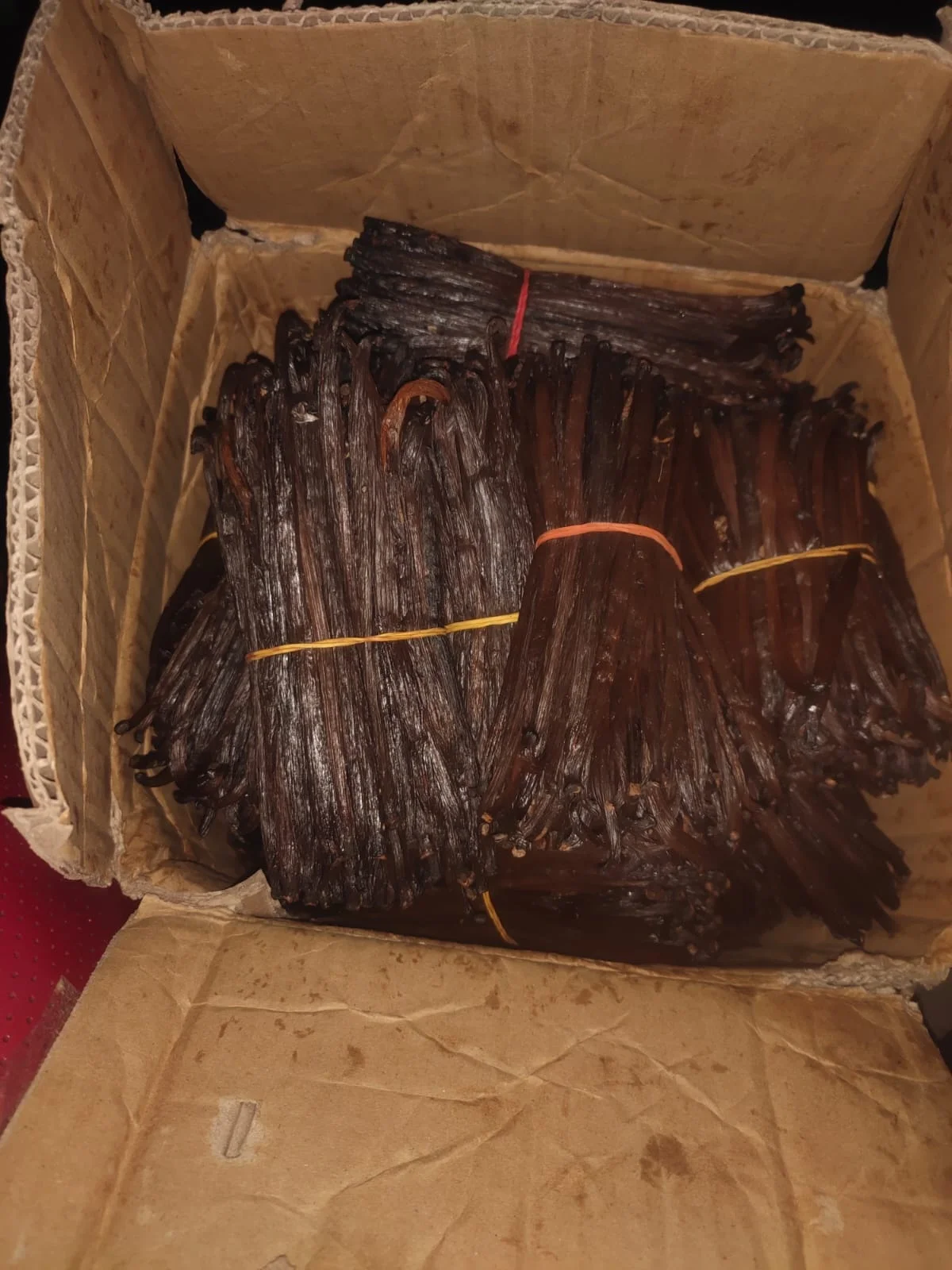 Vanilla Beans Vacuum Packing Planifolia 18 Cm Up Indonesia Dry 15-25% ...