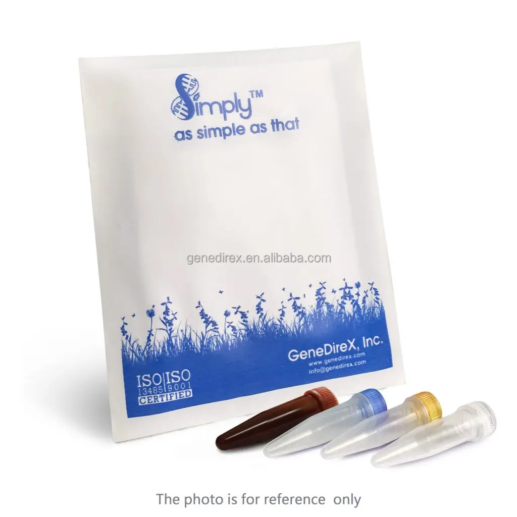 R-phycoerythrin Labeling Kit - Simply for Elisa & Flow Analysis