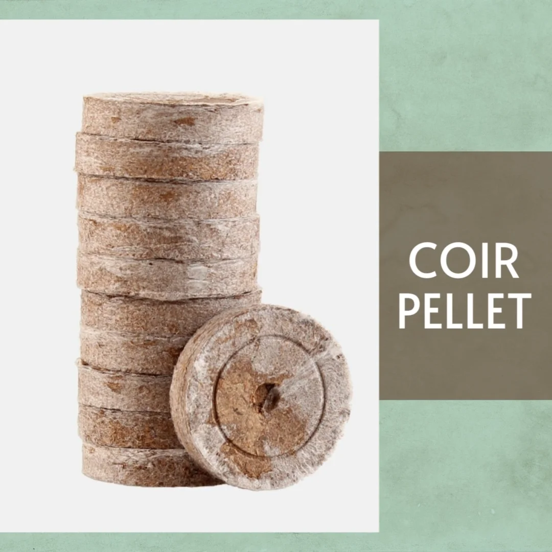Hydroponic Coco Pith Peat Pellets Biodegradable Coco Compressed Disc ...