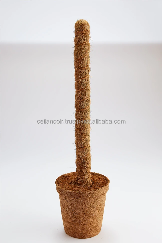 Sri Lankan Coco Grow Poles - Sustainable Support for Plants