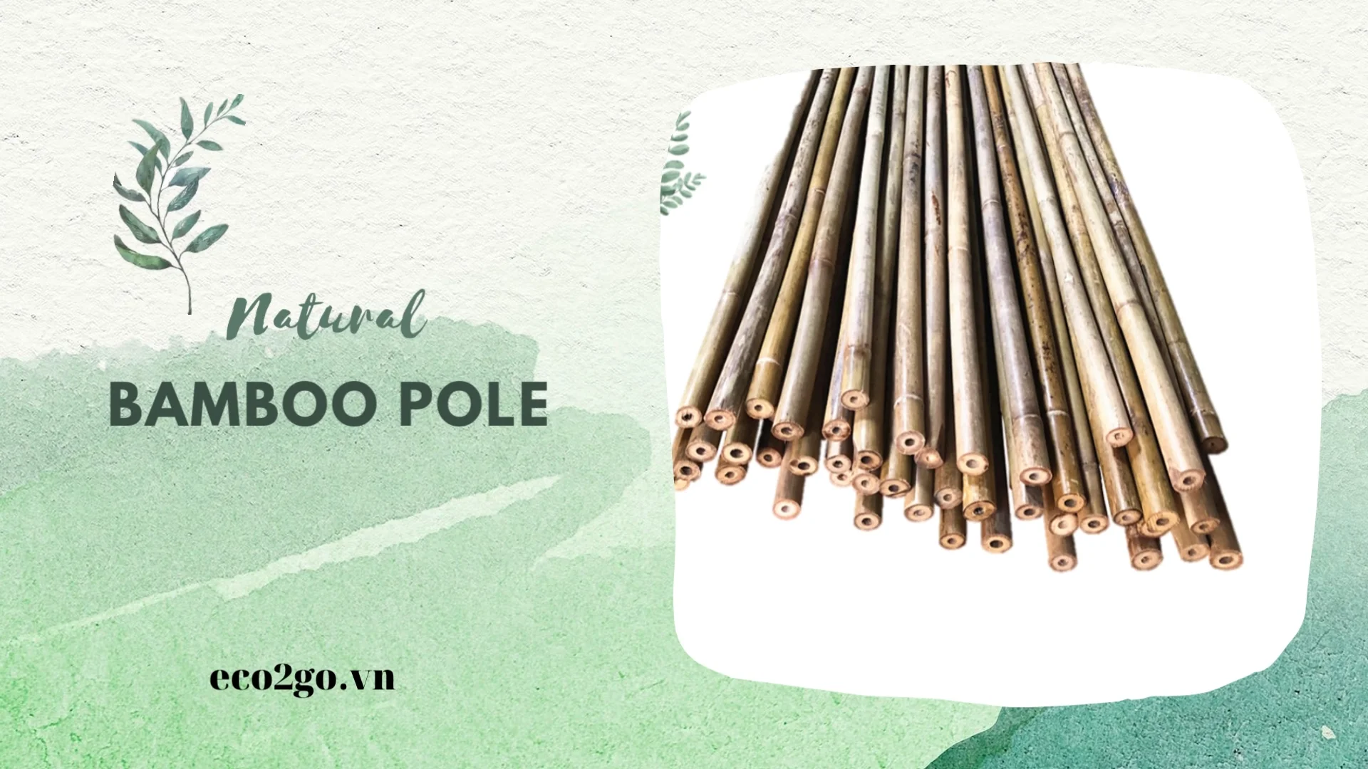 Premium Natural Bamboo With Smooth Surface,Neat Bamboo Knots Bamboo ...