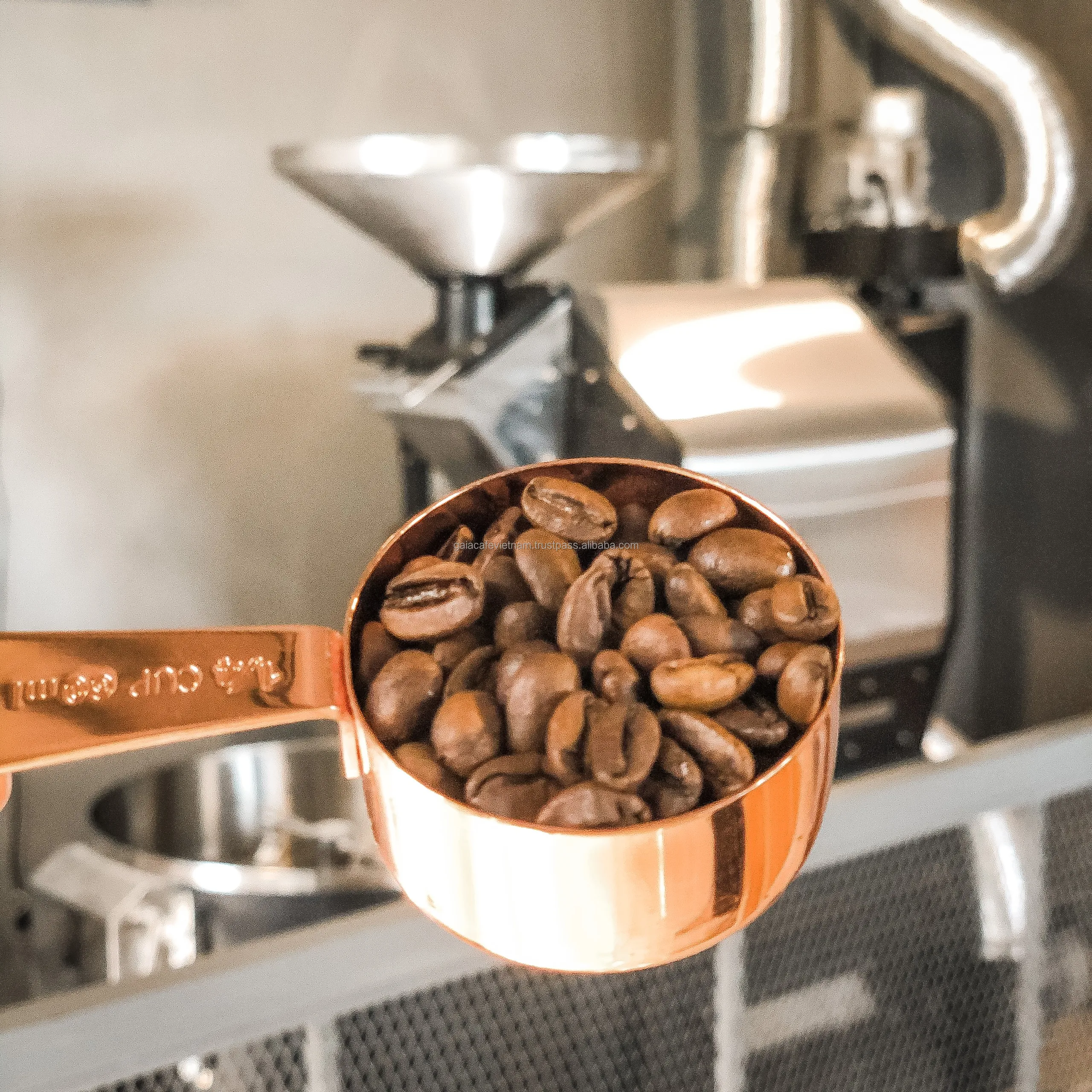 Green Arabica Catimor Fully-wash Professional Team Green Coffee Bean ...