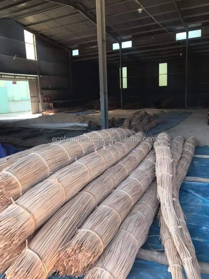 High Quality Polished Natural Rattan Manau Cane Wholesale Cheapest ...