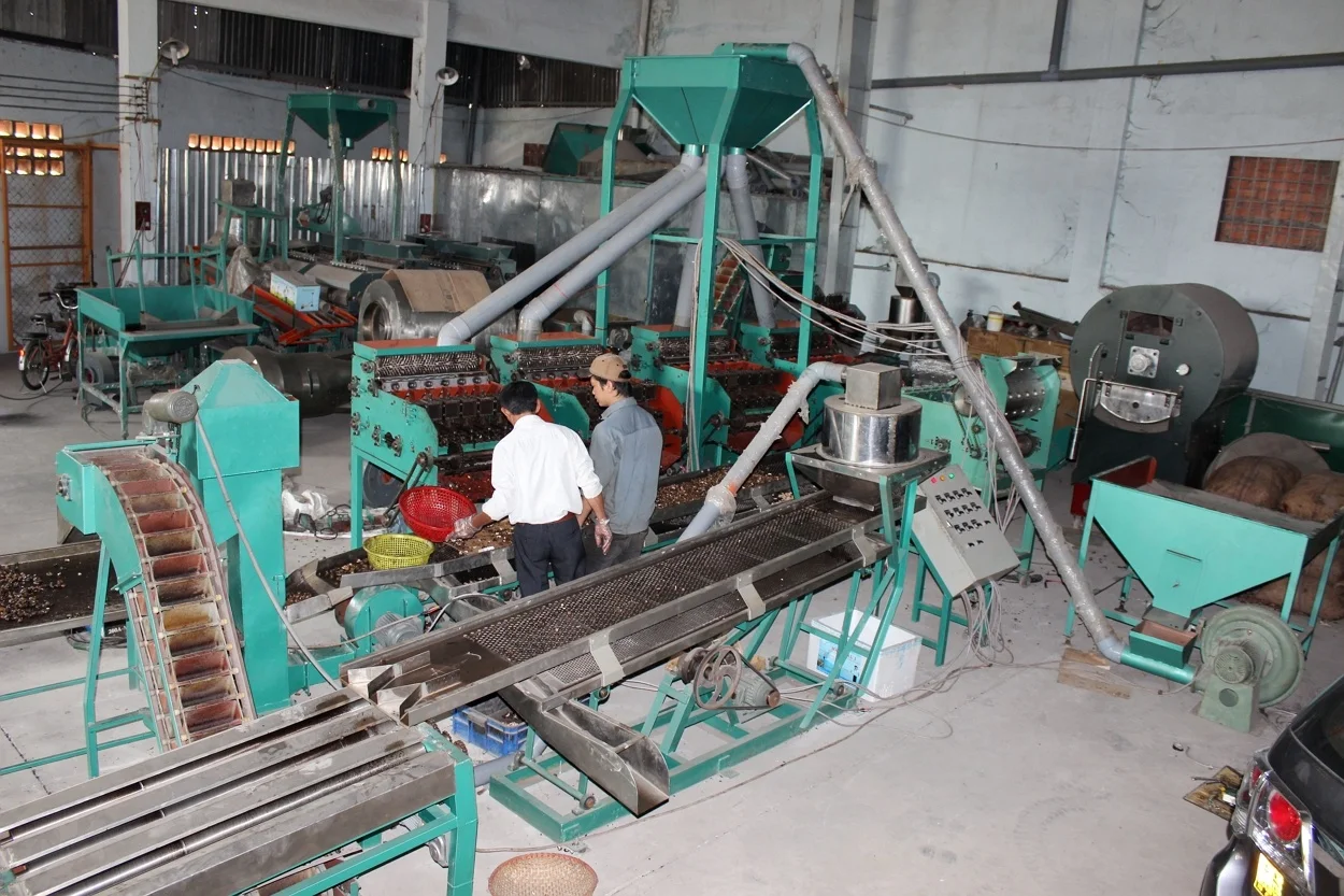 Automatic Cashew Nut Shelling Machine Effortlessly Shell Cashews For ...