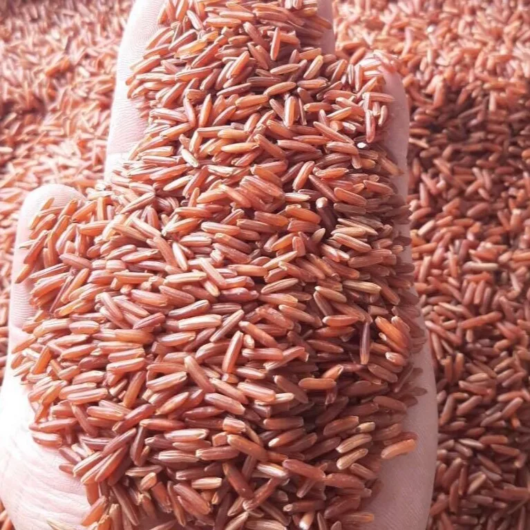 Red Rice- Health Benefits Rice Black Brown Purple Rice - Riz -arroz ...