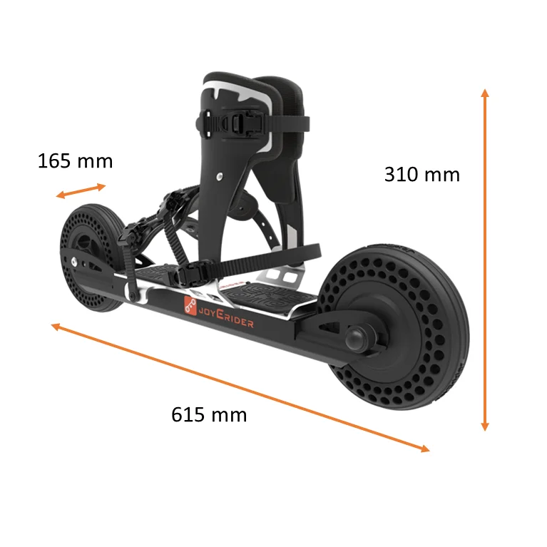 Two Wheel Detachable Roller Skates for Adult Inline Skates Flashing ...