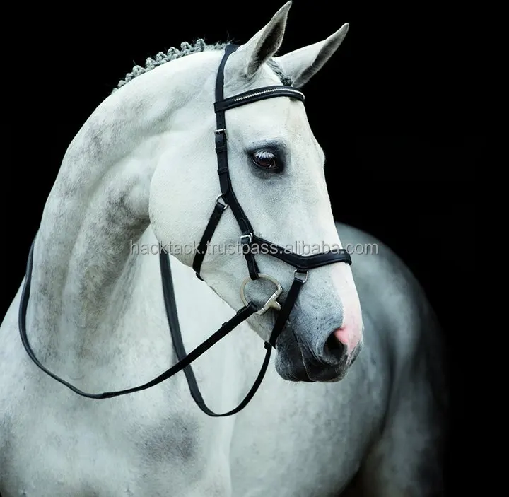 Micklem Deluxe Competition Unique Bridle Comfortable Designed Fit Shape ...