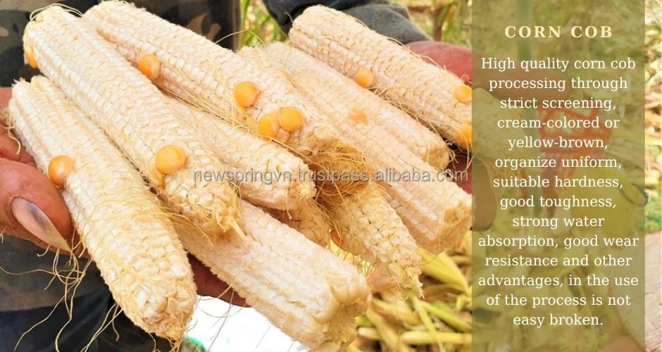 Vietnamese Wholesale Corn Cob Meal for Mushroom & Animal Feed