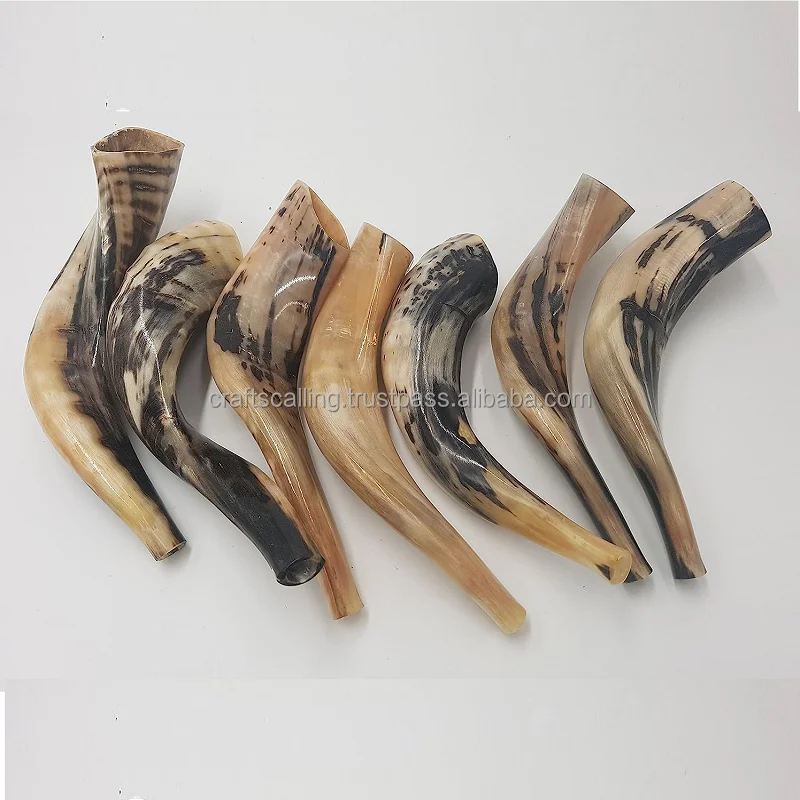 Wholesale Rams Horn Shofar Polished Handmade From India By Crafts ...