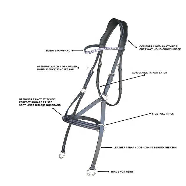Parts Of The English Bridle