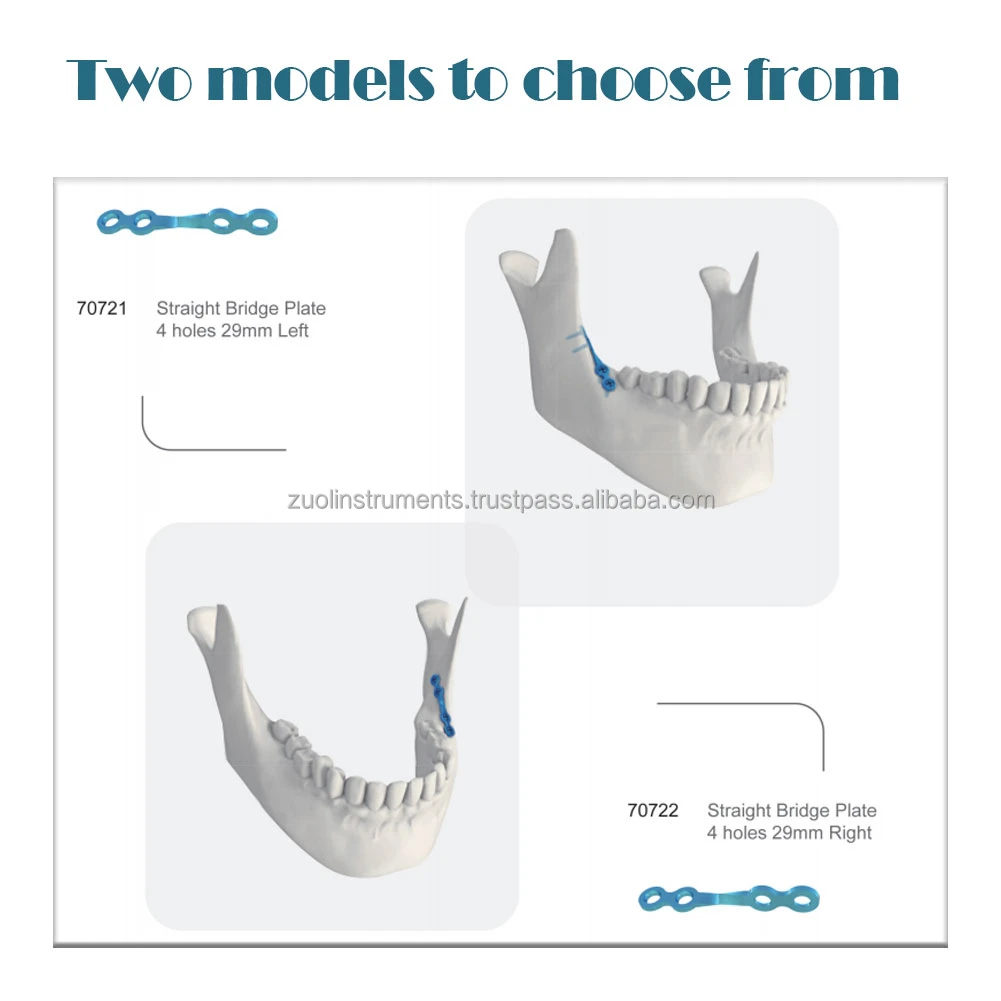 Anatomical 2d Round Hole Metal Maxillofacial Plate Neurosurgery Cranial ...