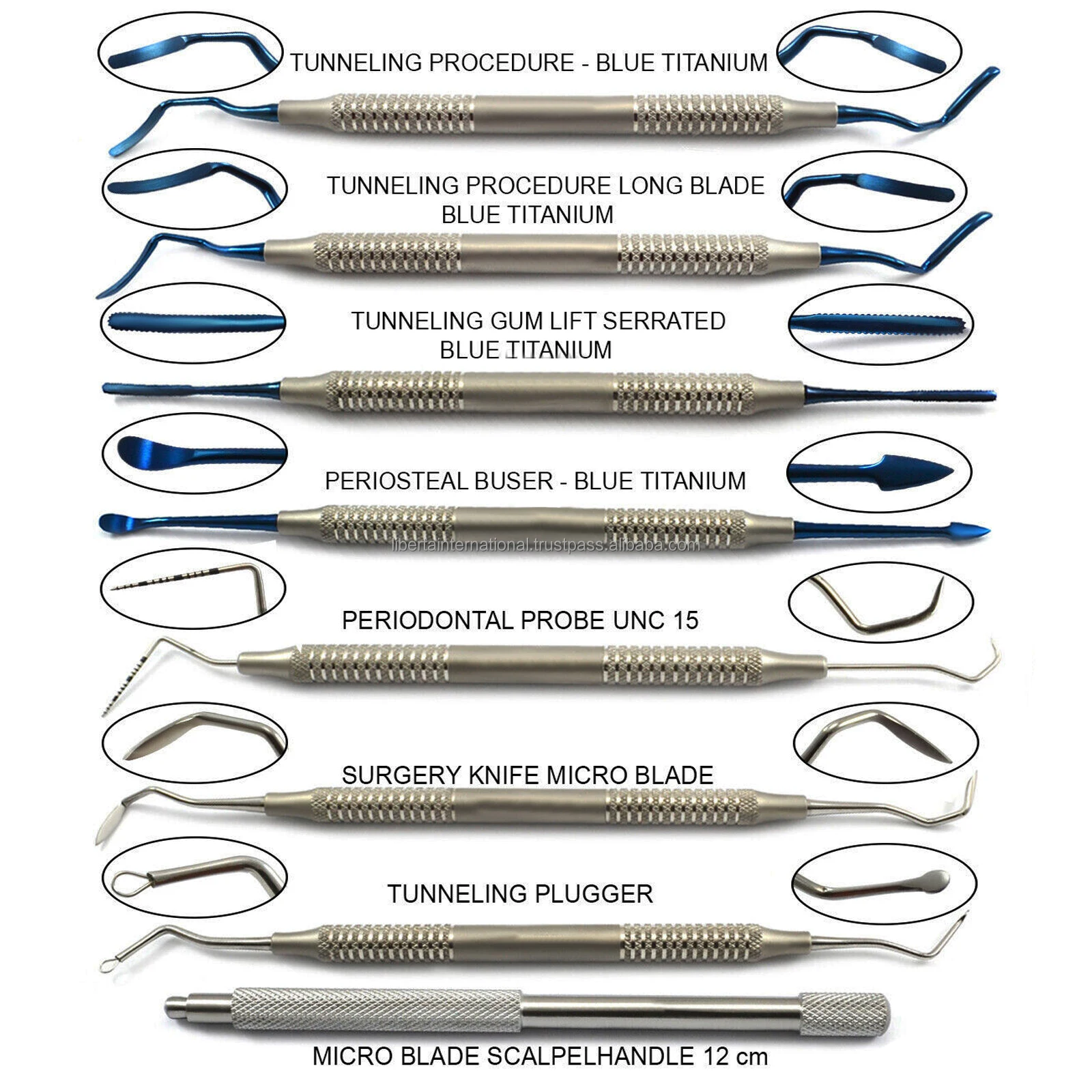 Mauri Tunneling Instruments Kit Gingival Gum Surgery Periodontal ...