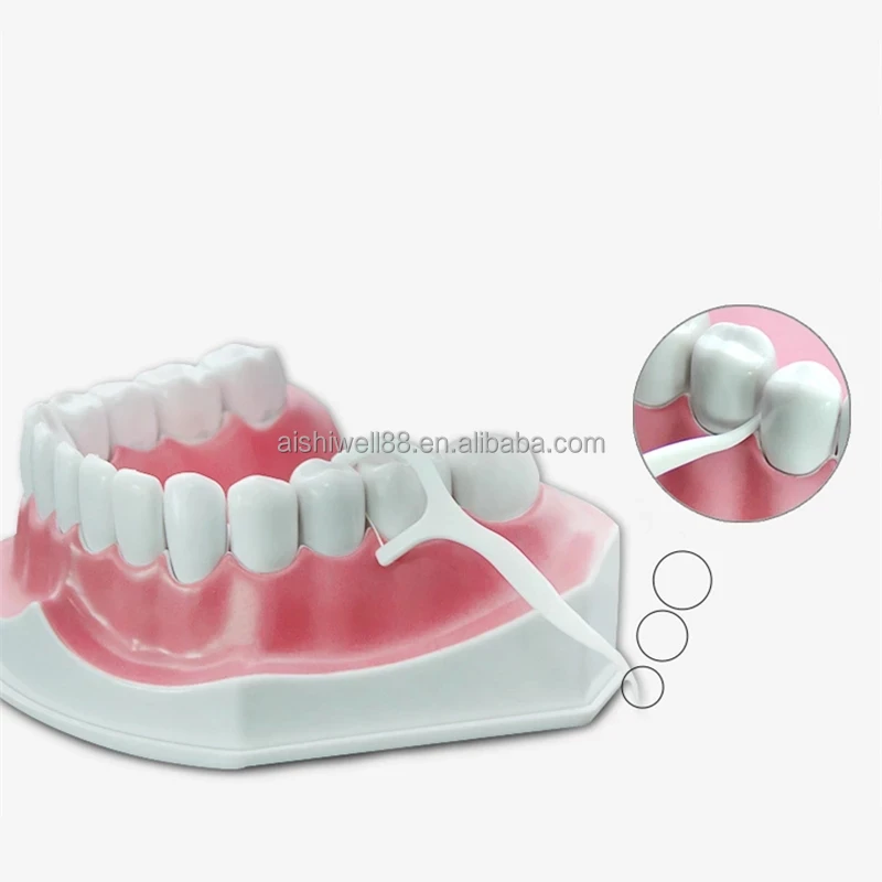 Dental Floss With Square Boxed,A Box Of 50 Sticks Dental Floss Stick ...