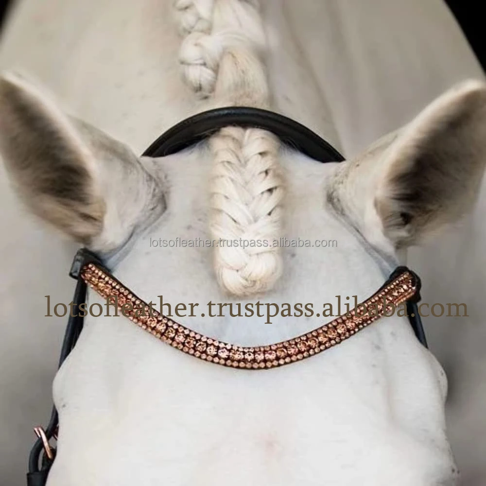 Oem Equestrian Horse Euro Version Leather Aria Anatomical Bridle Softy ...