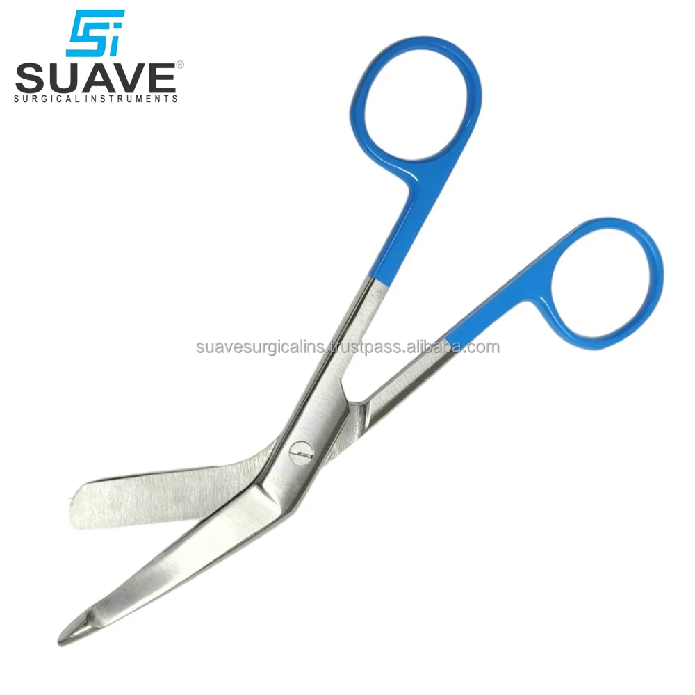 5.5 Blue Handle Multi Purpose Stainless Steel 2024 Best Supplier ...