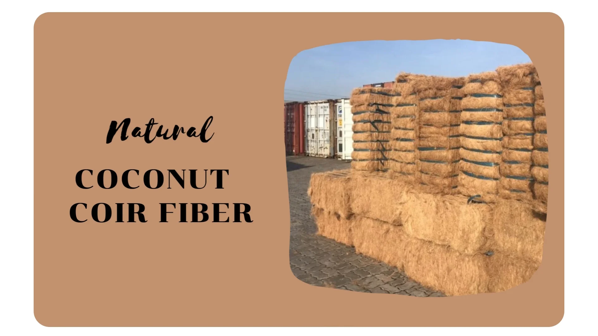 100% Raw Material Coconut Fibers Coco Coir Fiber From Manufacturers ...