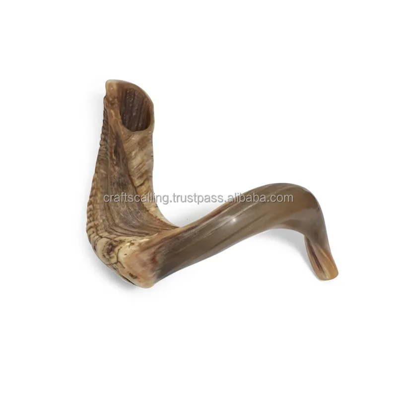 Wholesale Rams Horn Shofar Polished Handmade From India By Crafts ...