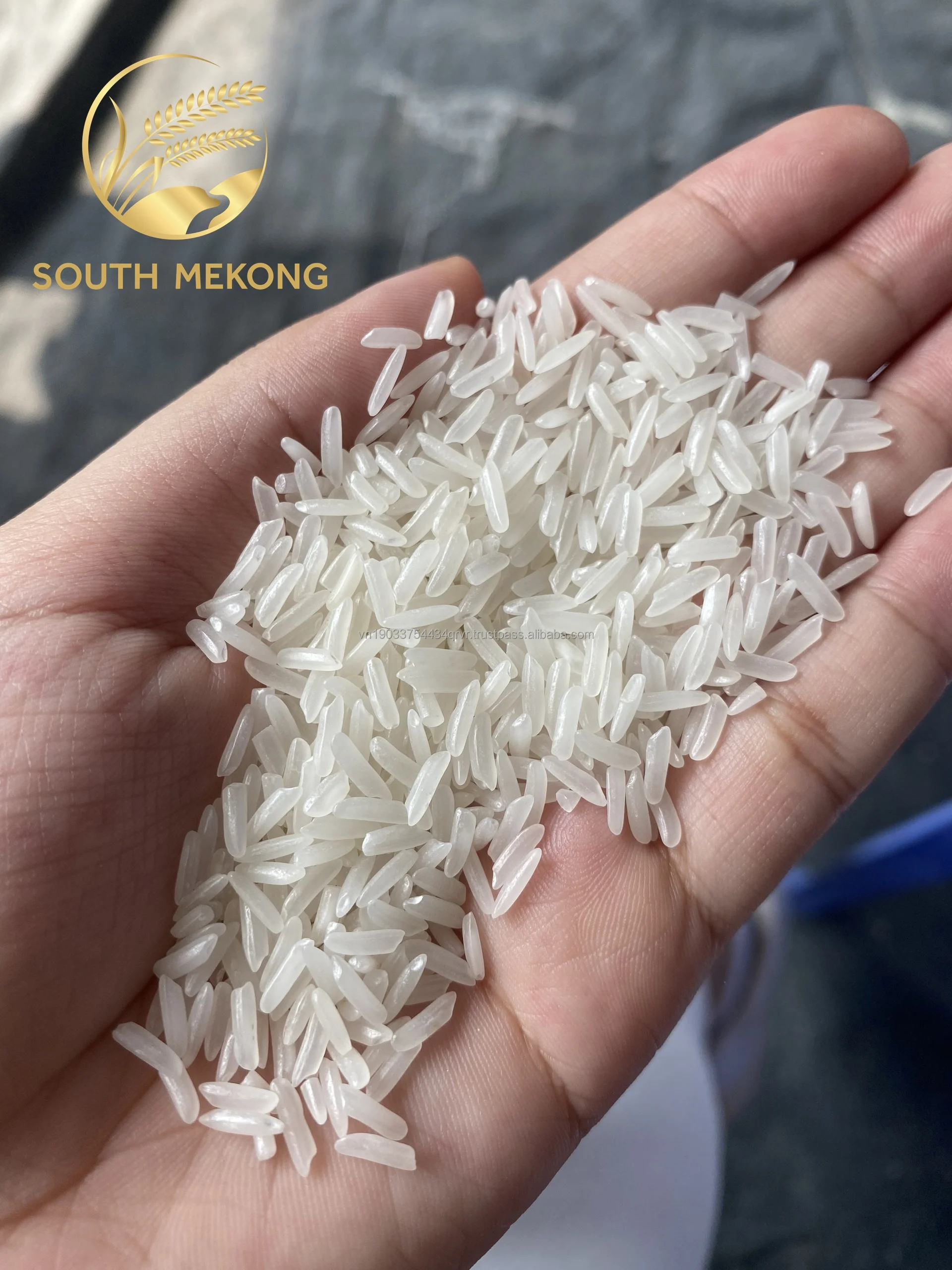 KDM White Rice 5% Broken Long-Grain - Wholesale Supply OEM | Wholesale