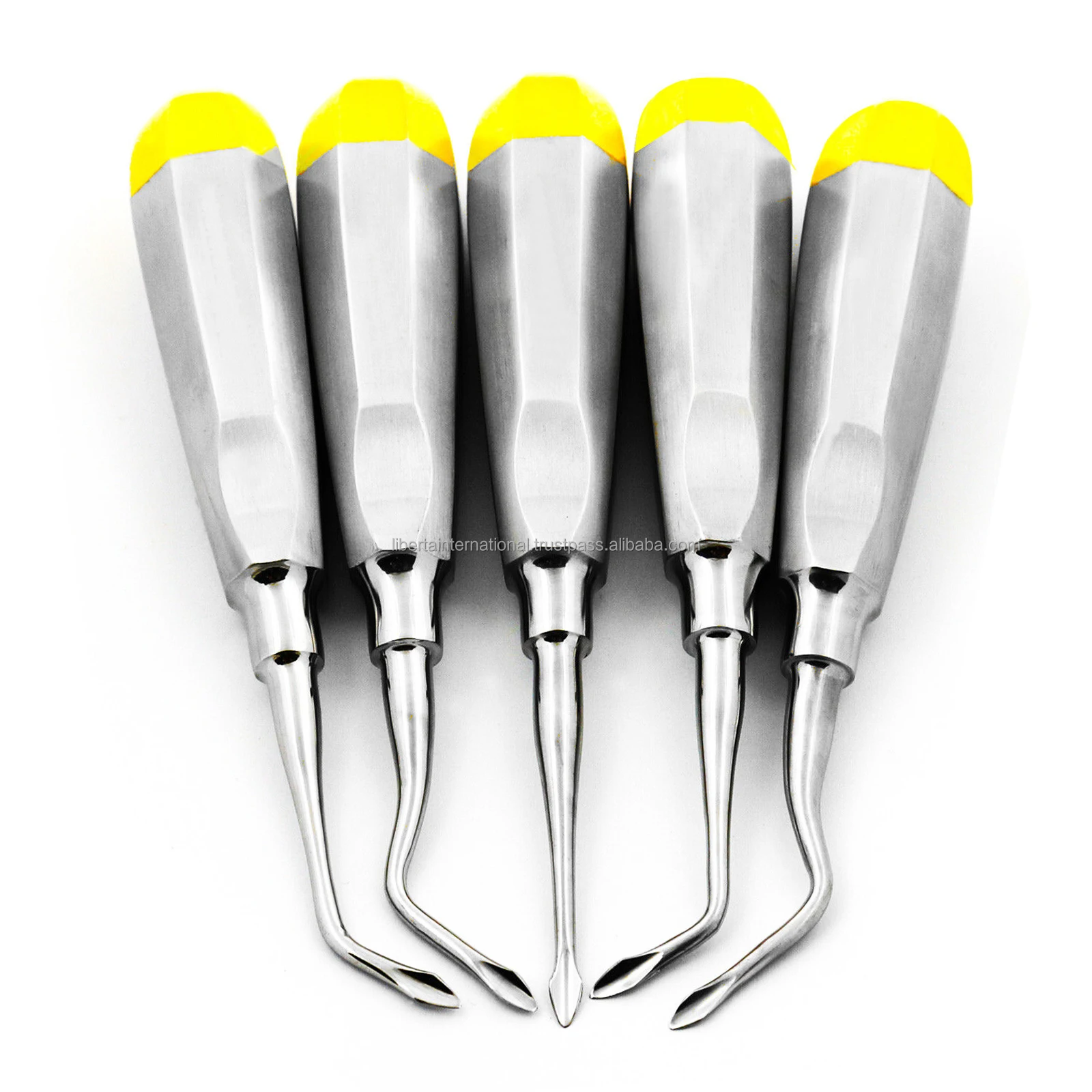 Set of 5 Teeth Dental Surgical Root Extraction Elevators Concave Tip ...