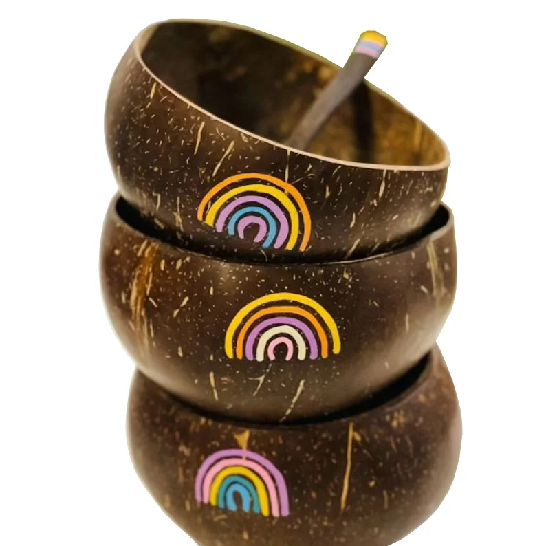 Hand-painted Eco-friendly Rainbow Vintage Coconut Bowls Set 4 Bowls And ...