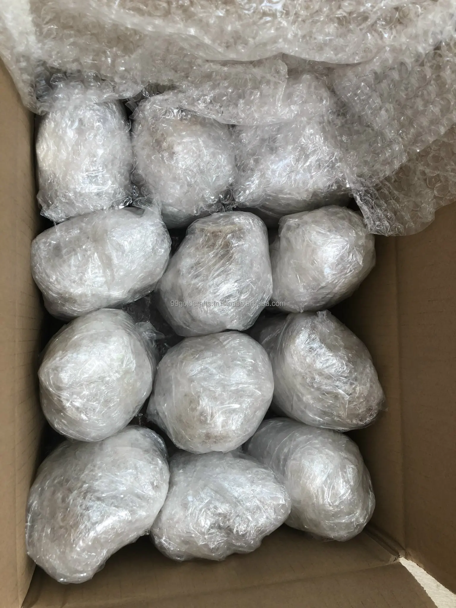 Hot Trend Polished Pearl Banded Jade Turbo Shell / Natural Seashell ...