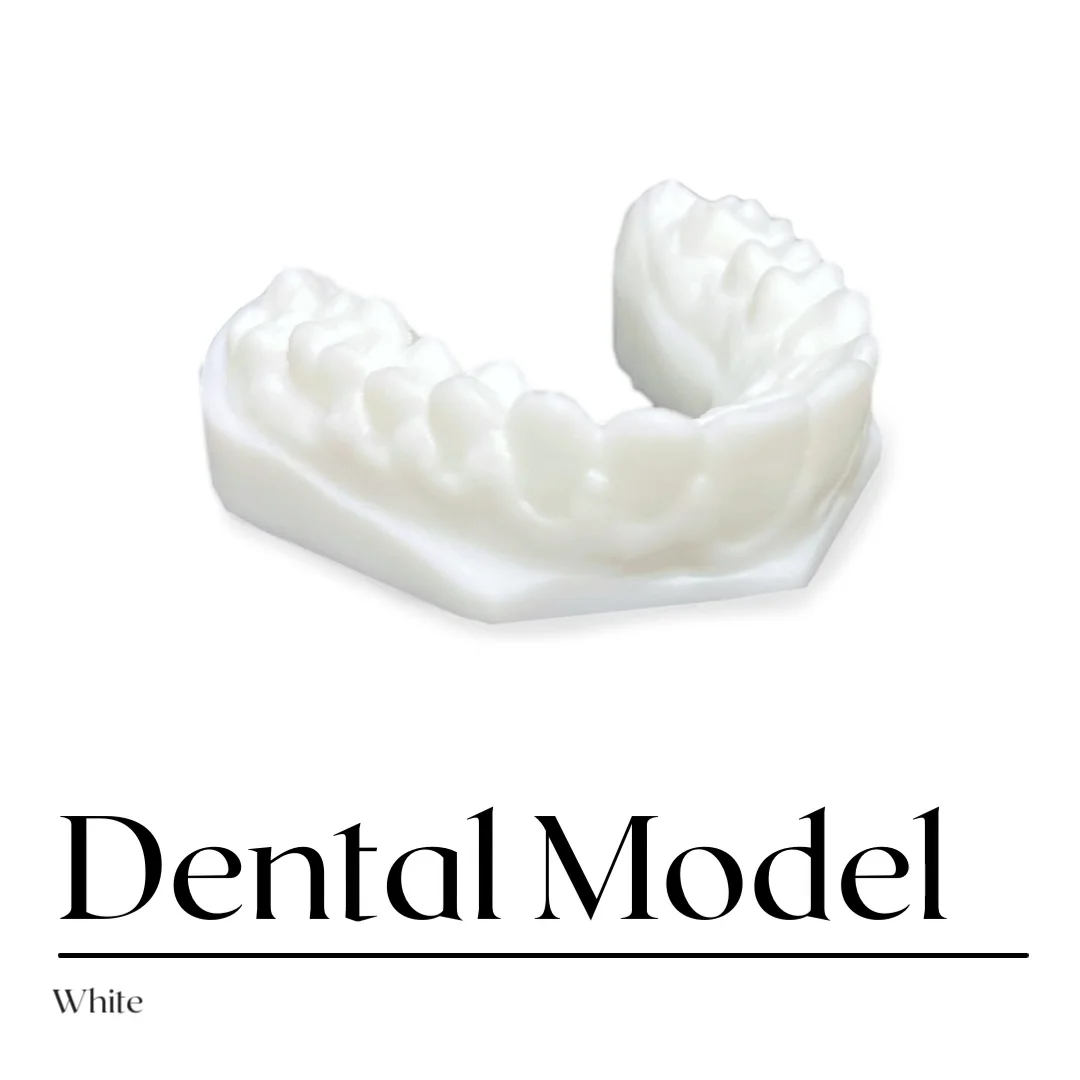 Qts Dental Model Resin - Buy 3d Resin Dental Model 3d Printer Resin,3d ...