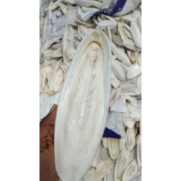Dried Cuttlefish Bone Ready Stock Available To Deliver - Buy Dried ...