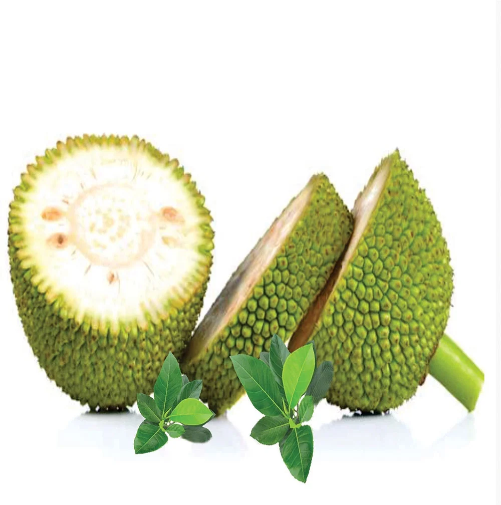 Ad Fresh Whole Raw Green Jackfruit Vietnam High Quality Products ...