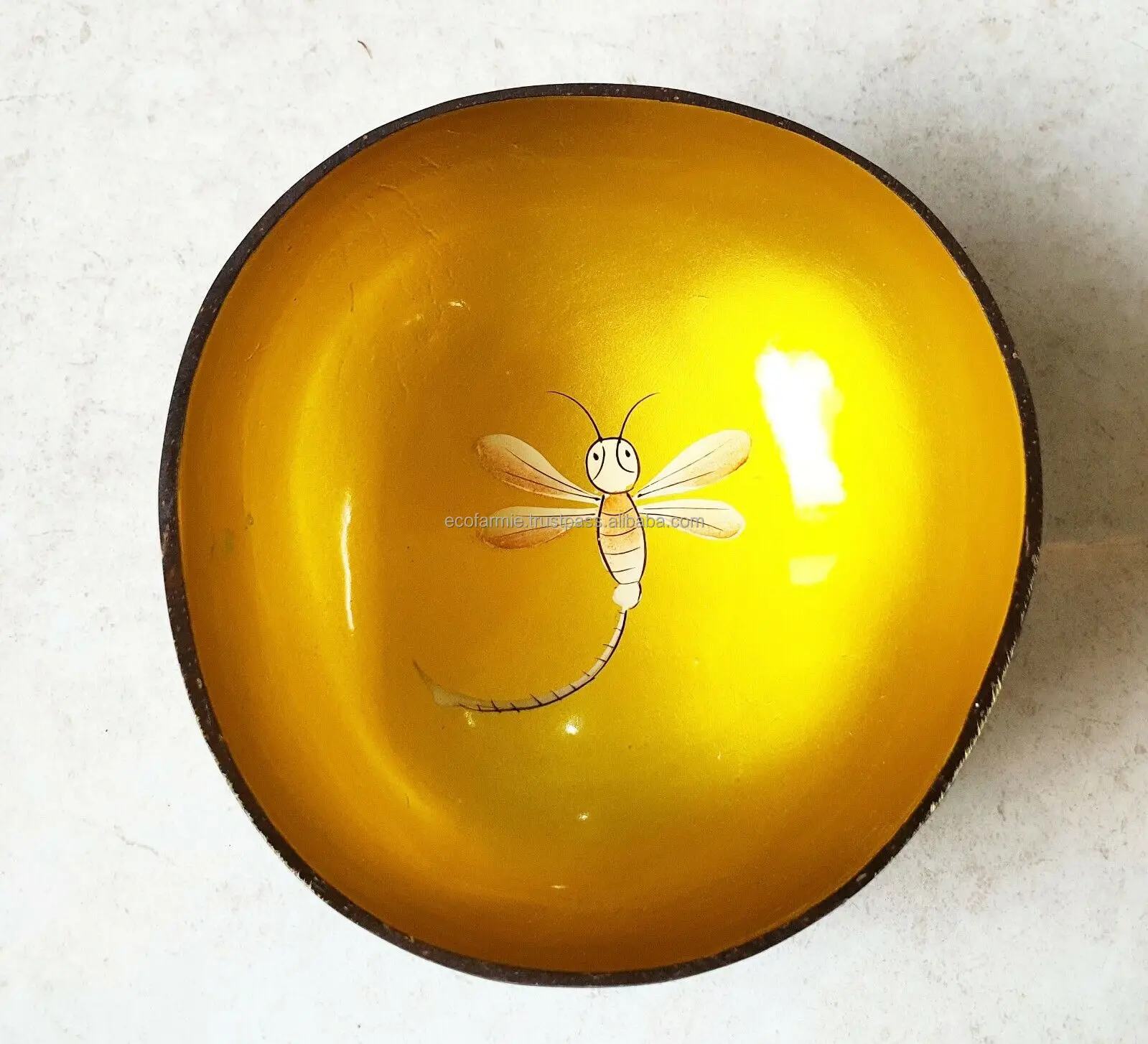 Multiple Colors Eggshell Shell Lacquered Coconut Shell Bowls Cheap ...