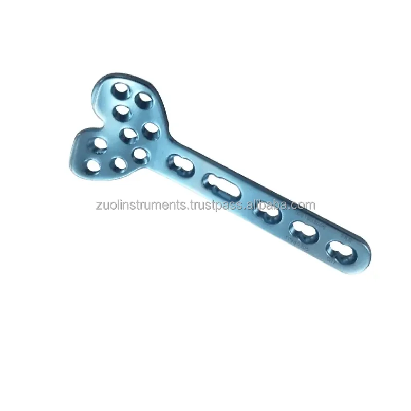 Screw Plate Orthopedic Bone Surgical Instruments Orthopedic Bone Plates ...