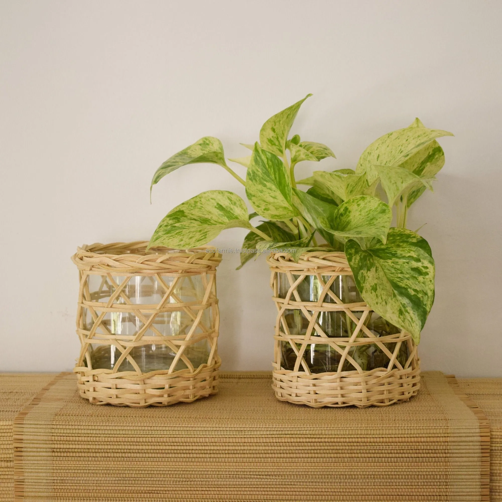 Eco-friendly Woven Cup Covers - Natural Seagrass Accessories